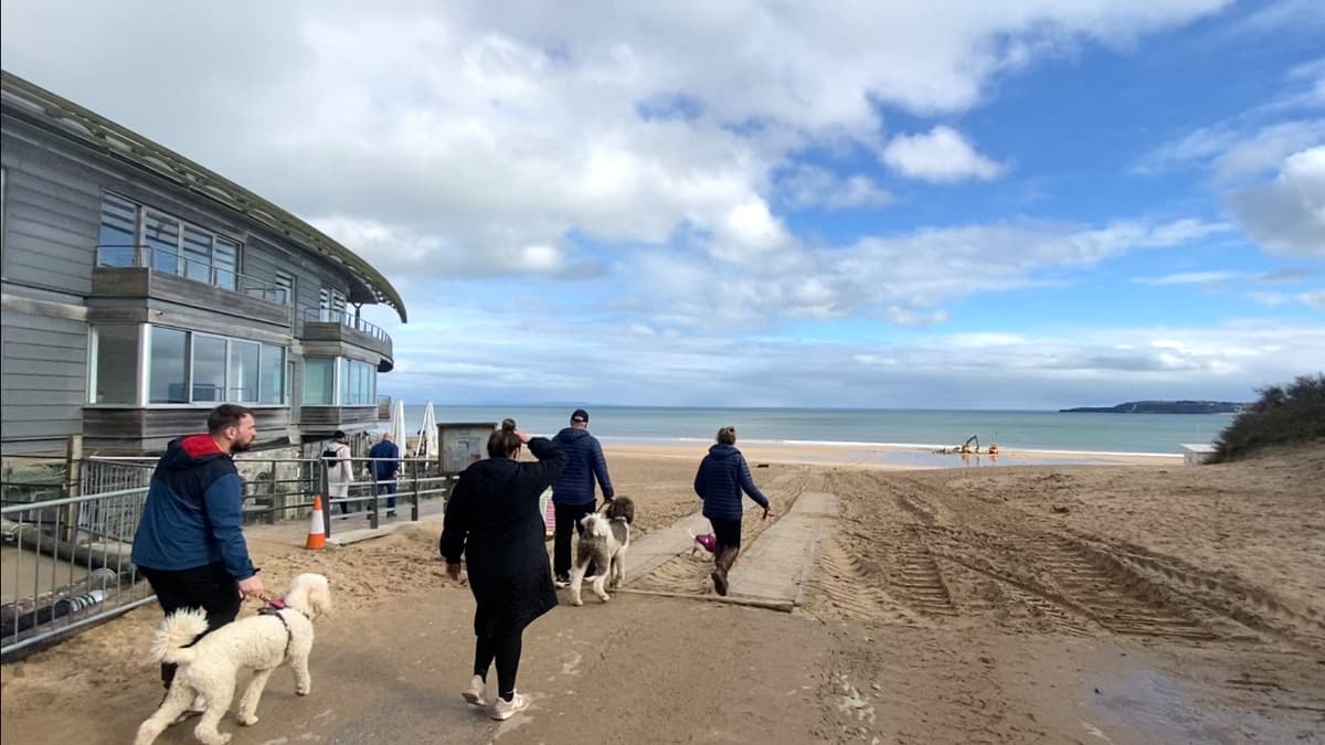 ‘Overzealous’ enforcement officers spoken to on dog beach ban handling ...