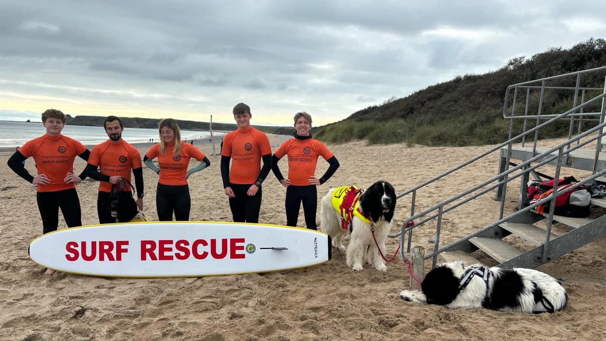 Tenby Surf Lifesaving Club members join pooches for rescue training ...