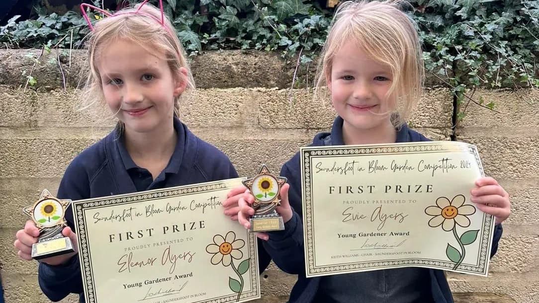 Saundersfoot in Bloom Young Gardeners awards for Templeton pupils ...