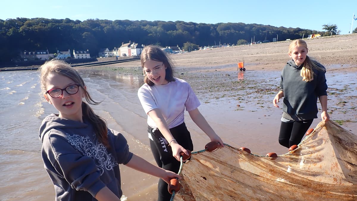 Young Marine Biologists at Ysgol Harri Tudur | tenby-today.co.uk
