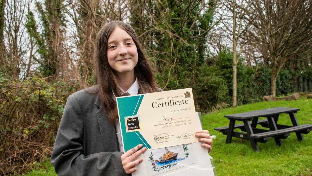 Greenhill student's RNLI artwork will don Tenby Mayor's official ...