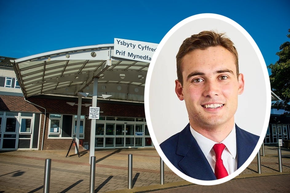 Tufnell’s New Year Resolution a bid to end Hywel Dda health board ...