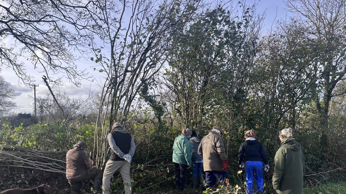 Redberth Croft CIC to launch community 'market garden' | tenby-today.co.uk