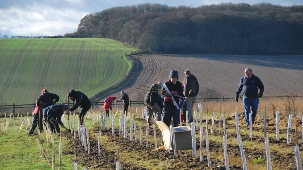 Redberth community farm launches ‘Branching Out’ project | tenby-today ...