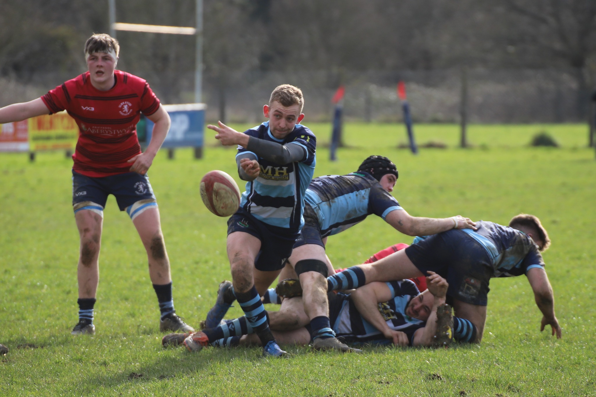 Aberystwyth score five tries in comprehensive win at St Clears | tenby ...
