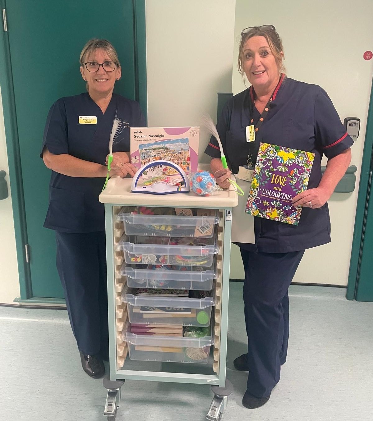 Donations Fund Sensory Items for Dementia Patients at Withybush ...