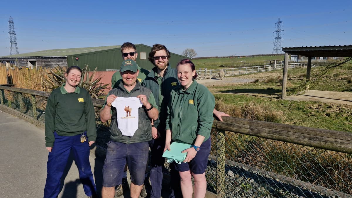 Pembrokeshire's Folly Farm expecting second critically endangered ...