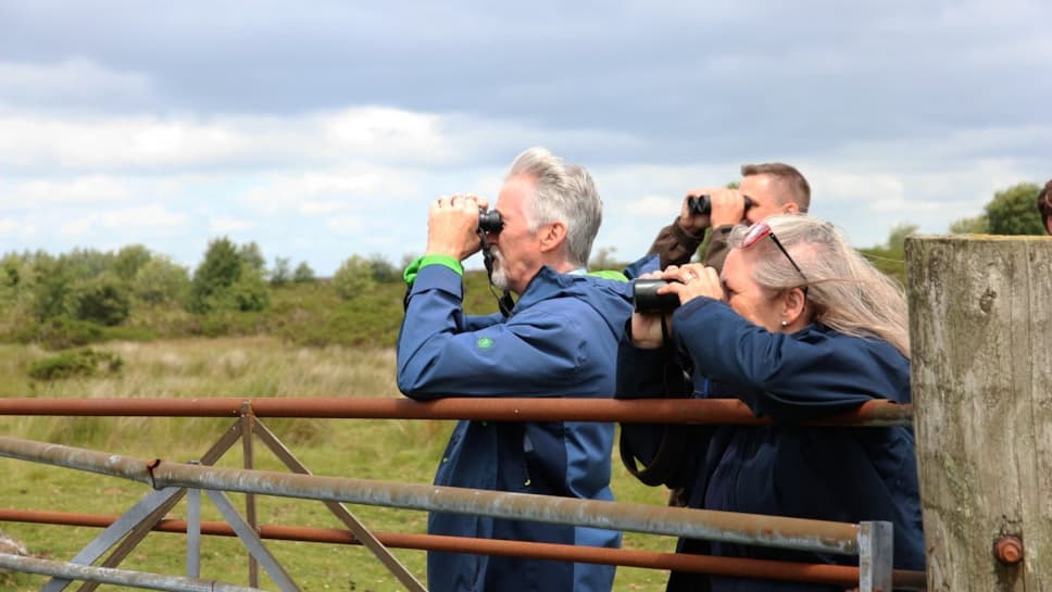 Curlew conservation project takes flight! | tenby-today.co.uk