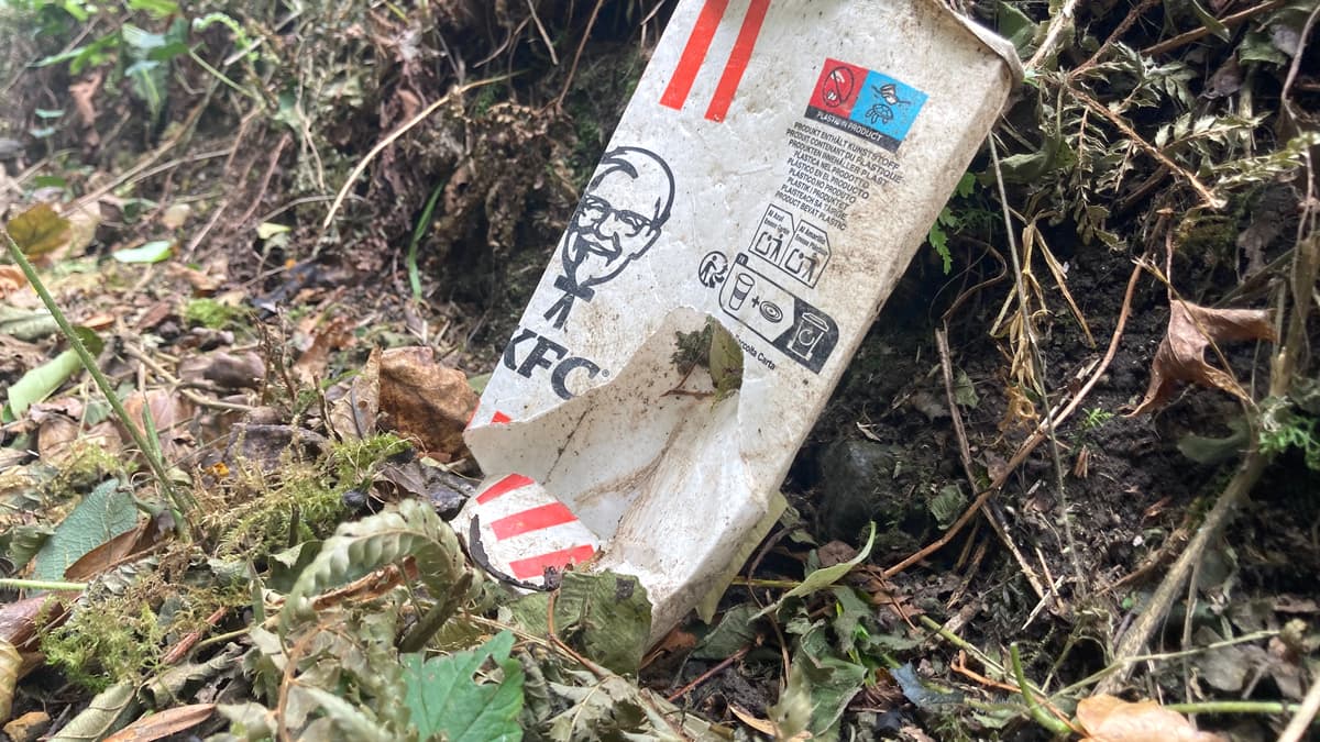 Not even the 'Wombles' can stop Saundersfoot being plagued by takeaway ...