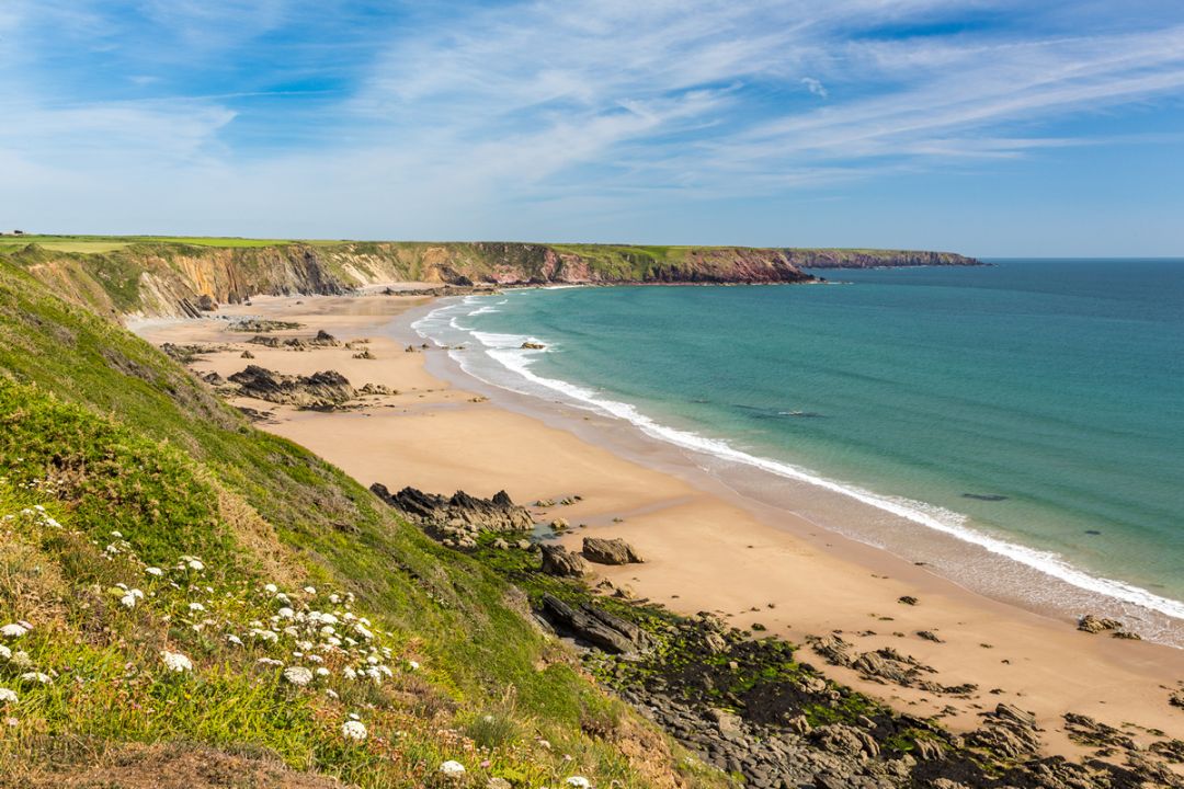 Force for Nature grant scheme reopens for 2025 with biggest round of ...