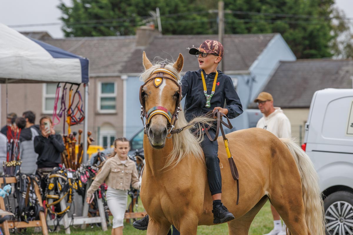 Pembroke Horse Fair Celebrates Community and Tradition Despite Rain ...