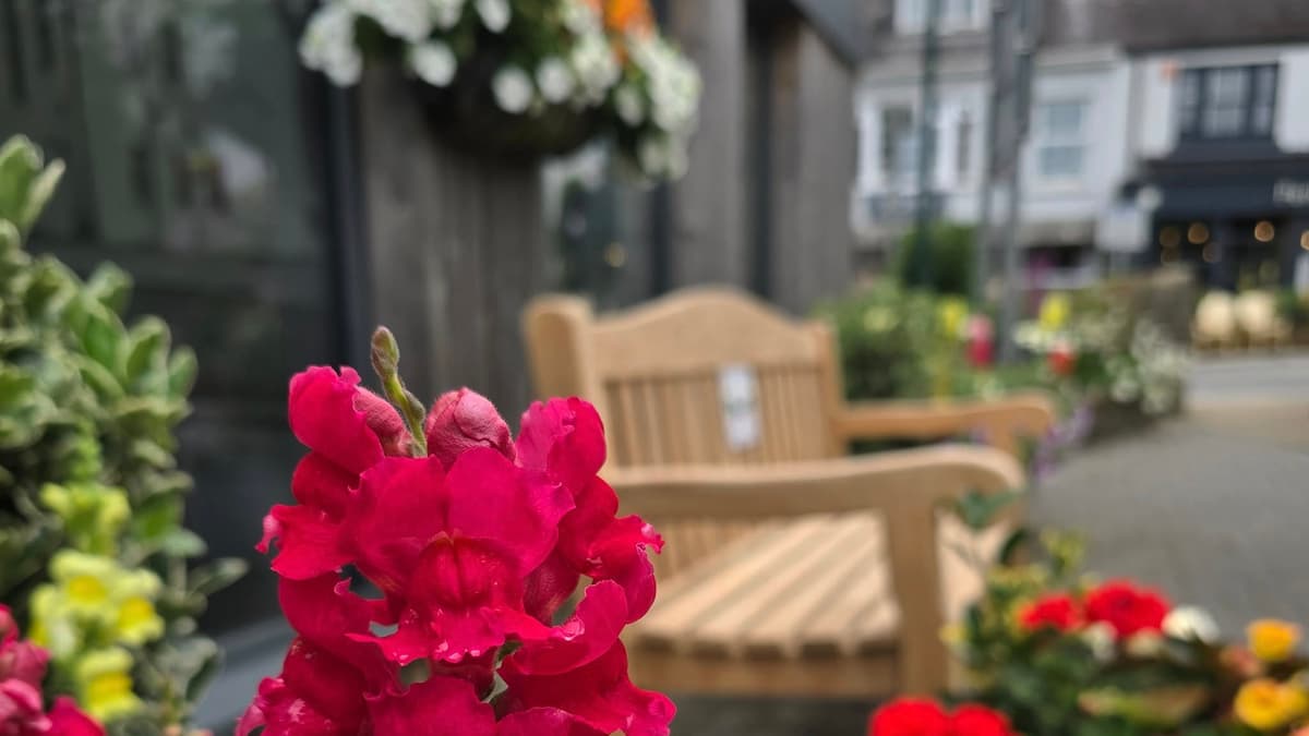 Saundersfoot celebrates success at Wales in Bloom awards | tenby-today ...