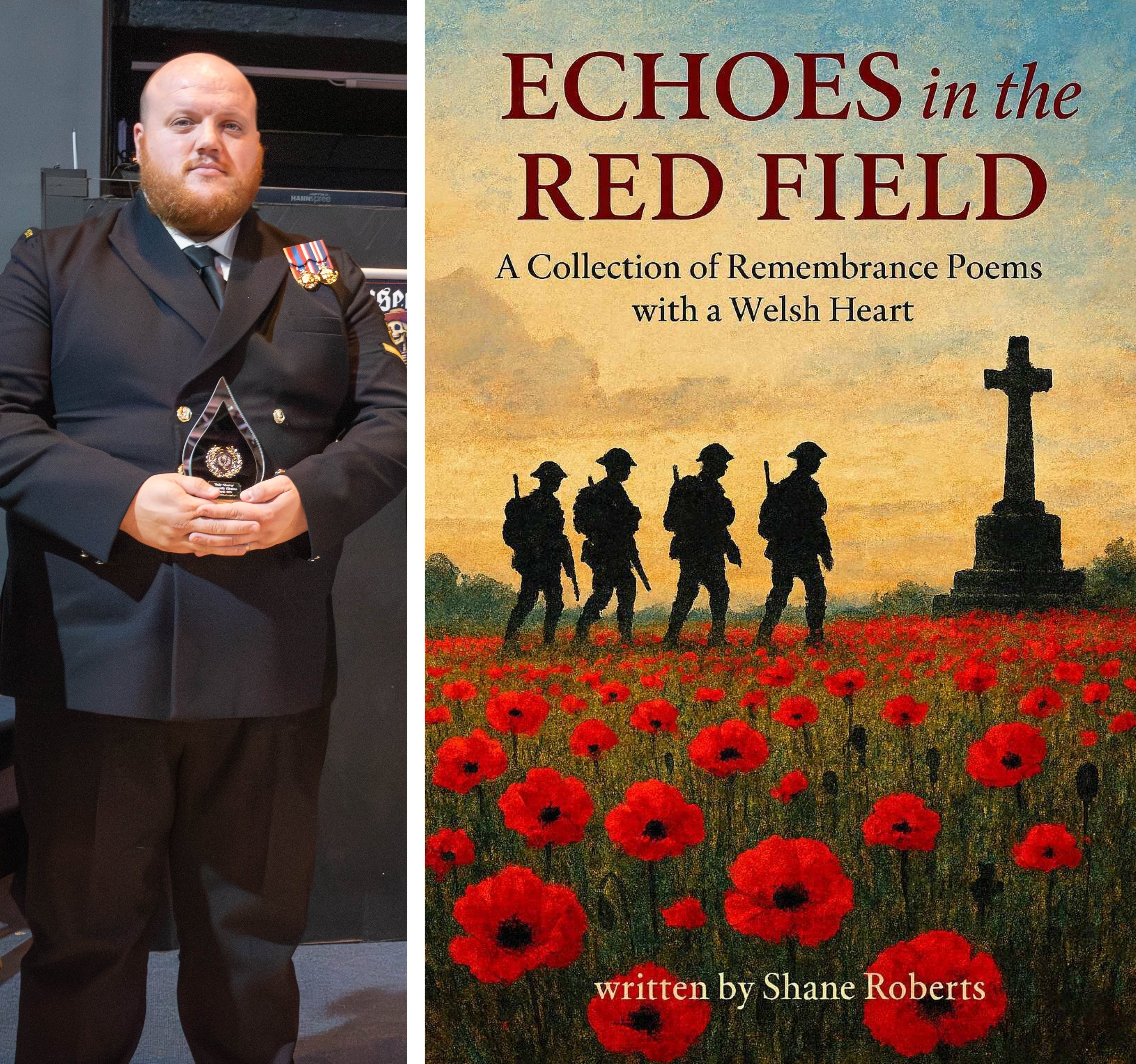 Shane Roberts’ ‘Echoes in the Red Field’ supports Poppy Appeal | tenby ...