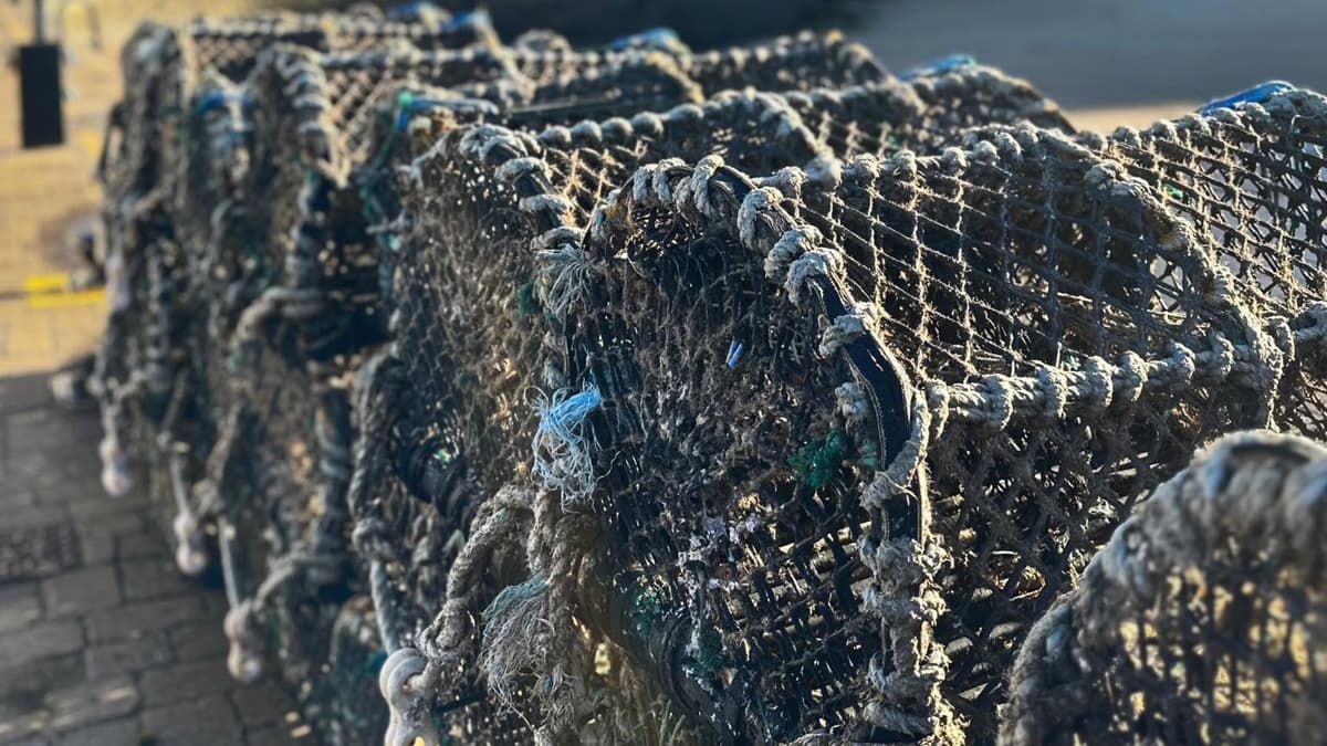 Picture This: Tenby in 2026: Tenby Observer Photography Club | tenby ...