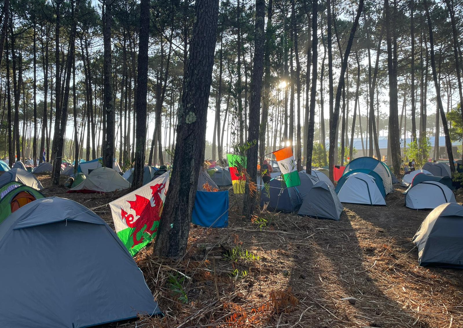 GlobalWelsh announces ScoutsCymru as its Charity Partner of the Year ...